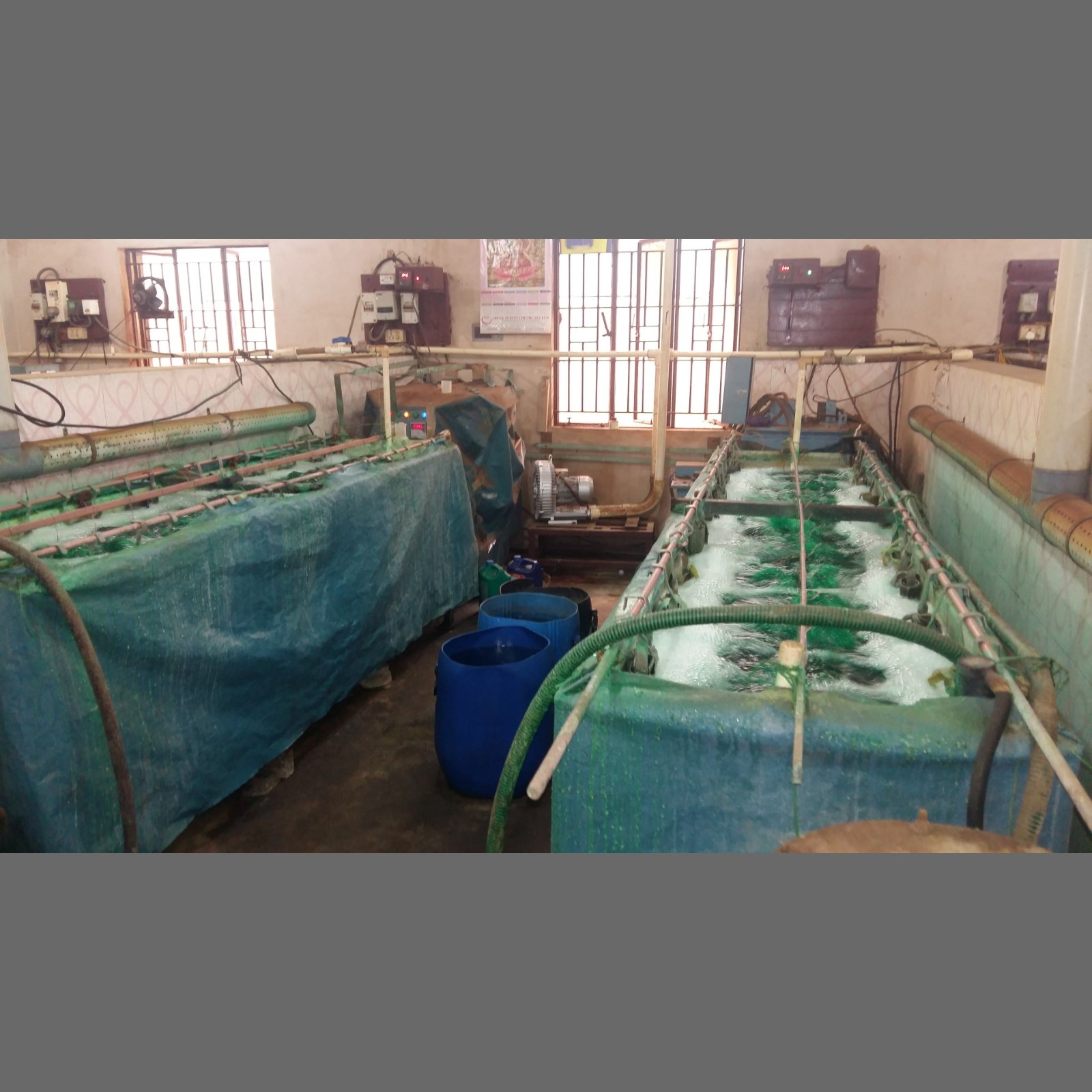 The Importance of Agitation in Electroplating for Quality and...